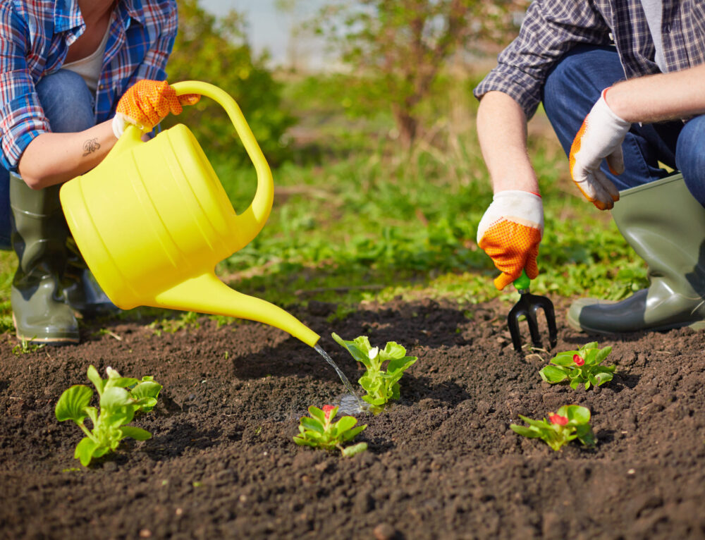 Getting in the Money Saving Mindset - Thousandaire